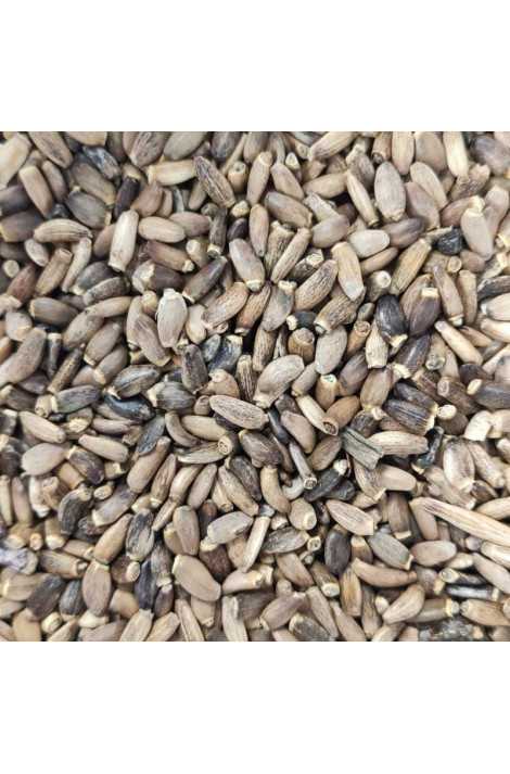 Seminte de armurariu - 1 Kg – Vanrobaeys