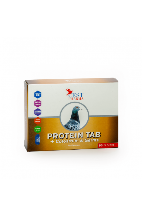 PROTEIN TAB 3X30 TAB