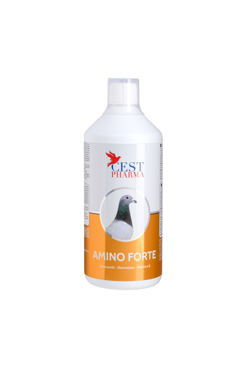 AMINO FORTE 1000ML